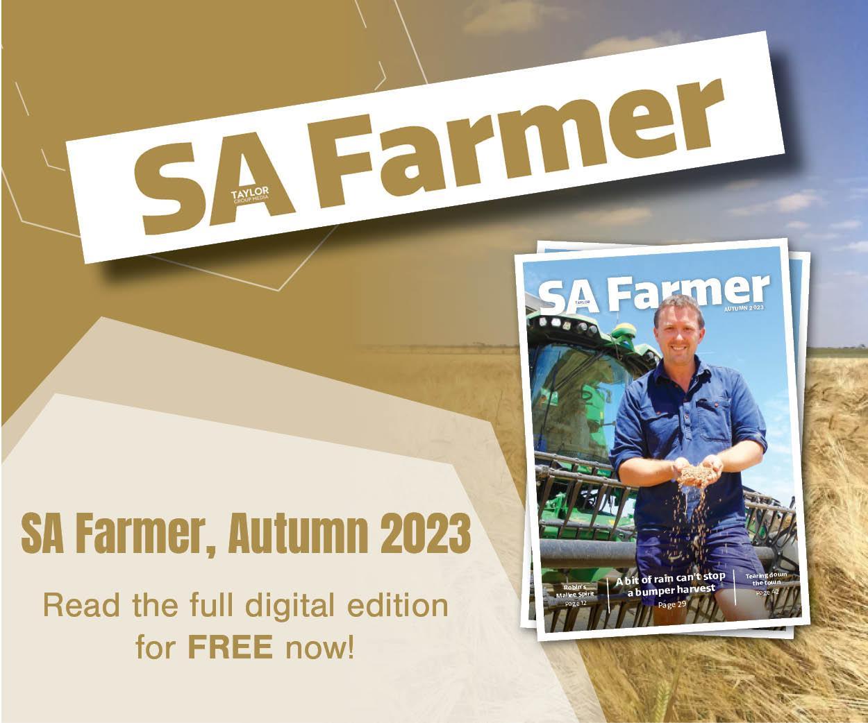 Classified Announcements